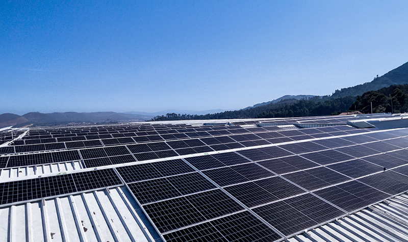 Bright Sunday: a solar-as-a-service company | Niam